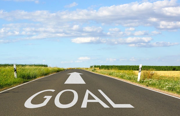 Goal-Setting, Progress and Success