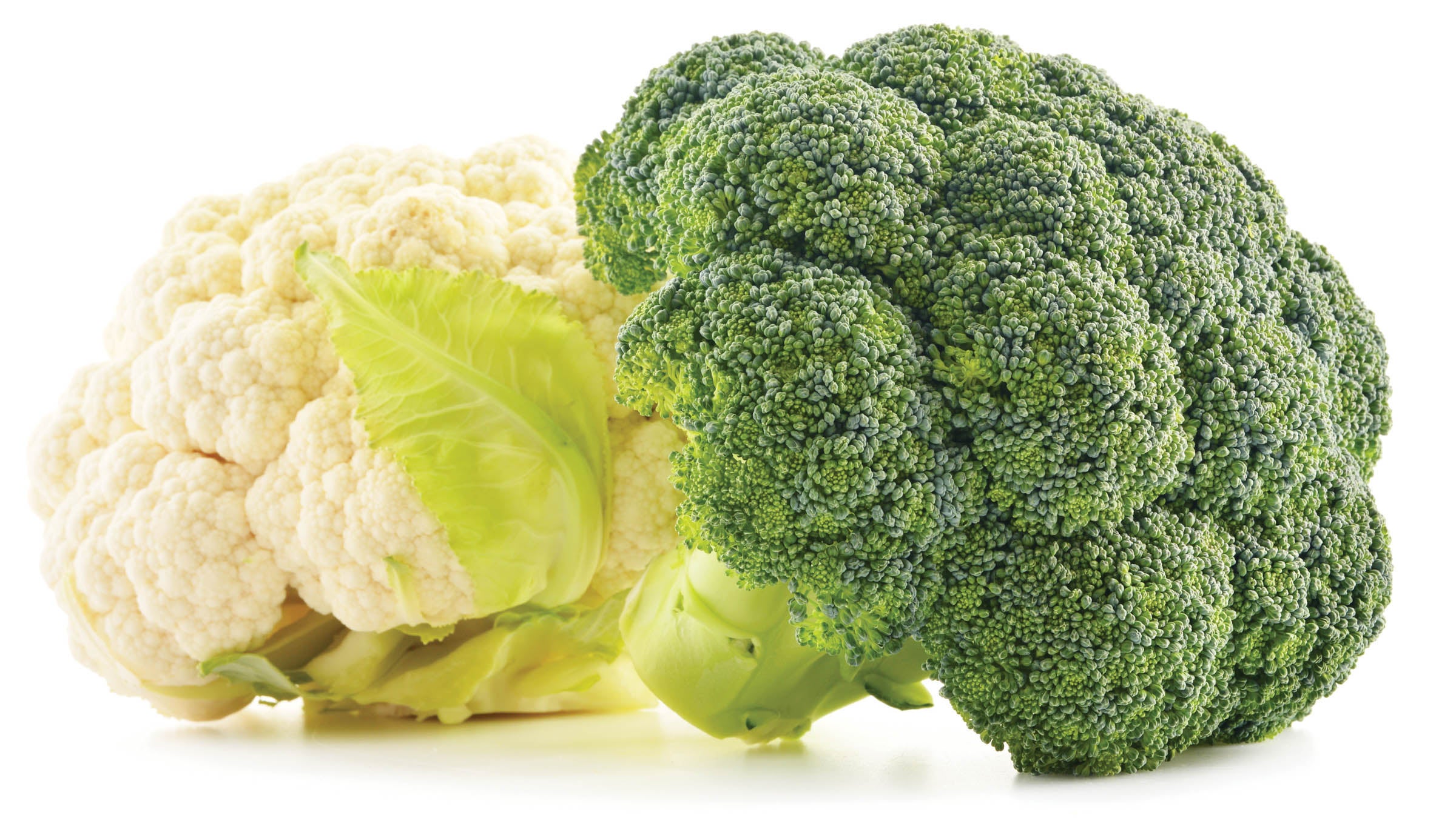 The 2-Week Flexible Fat-Loss Plan - Oxygen Mag