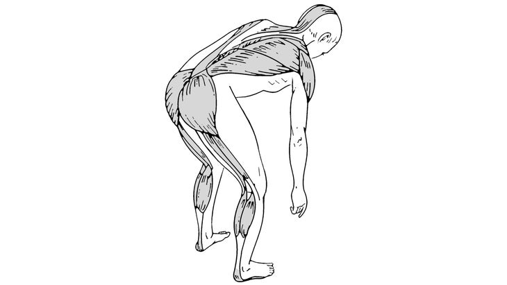 Fascia Elasticity: 6 Stretches for Total-Body Flexbility
