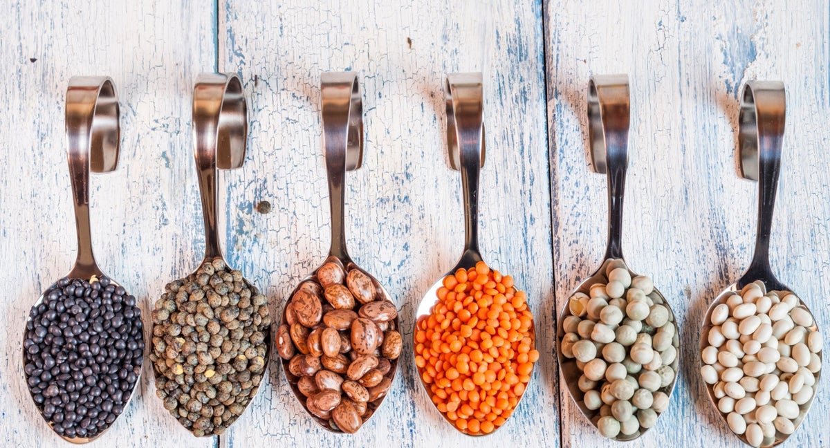 How to Choose Sustainable Protein Sources - Oxygen Mag